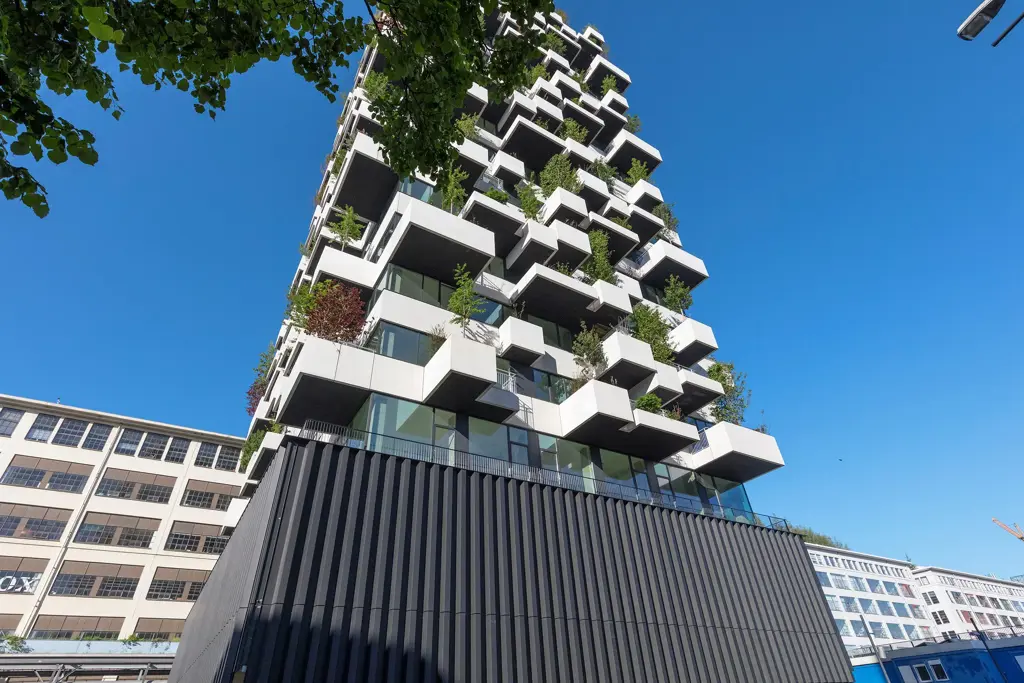 Trudo Toren - Boque - Galleo