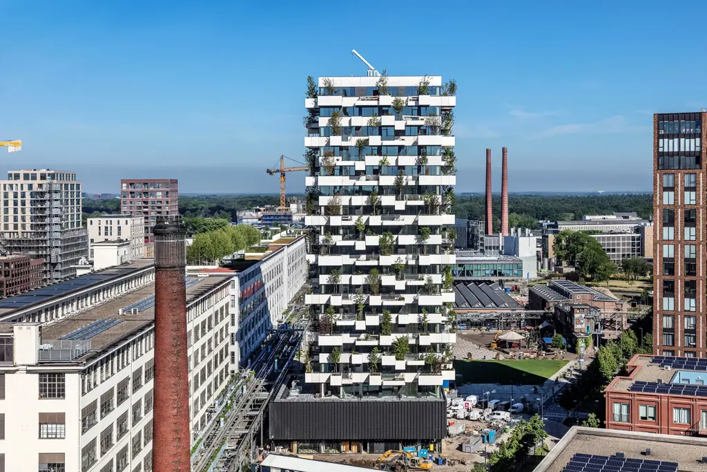 Trudo Toren - Boque - Galleo